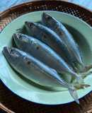 Resepi ikan pelaling: Koleksi masakan sedap dan mudah