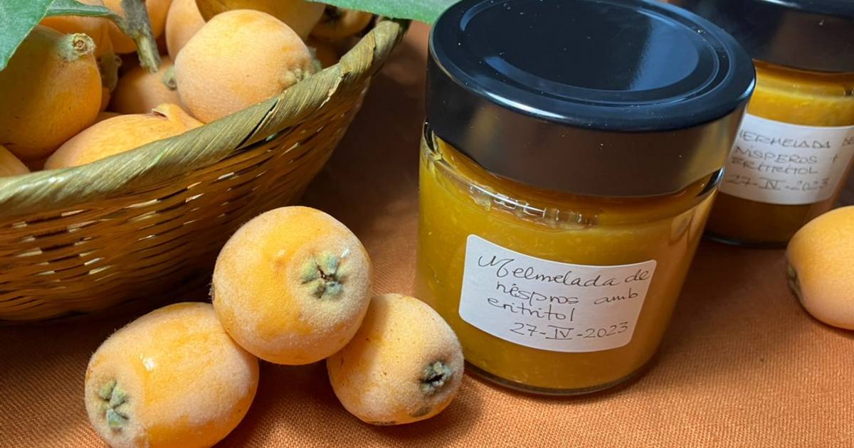 185 recetas muy ricas de nisperos compartidas por cocineros caseros ...