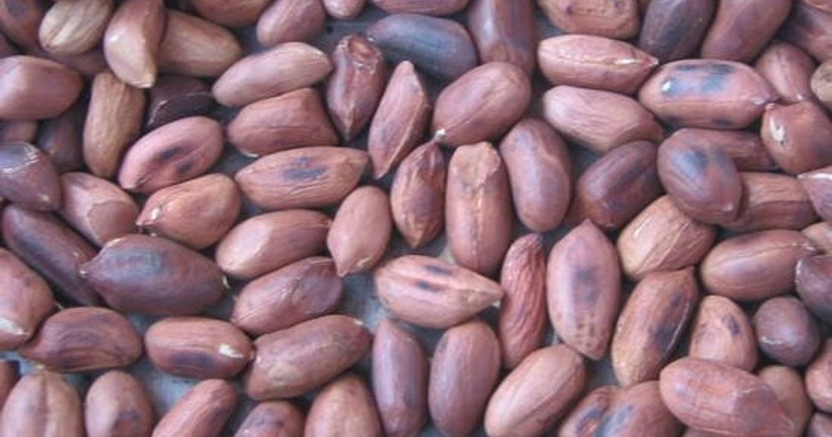 Roasted Groundnuts ' Njugu Karanga' Recipe by Grace Aholo - Cookpad