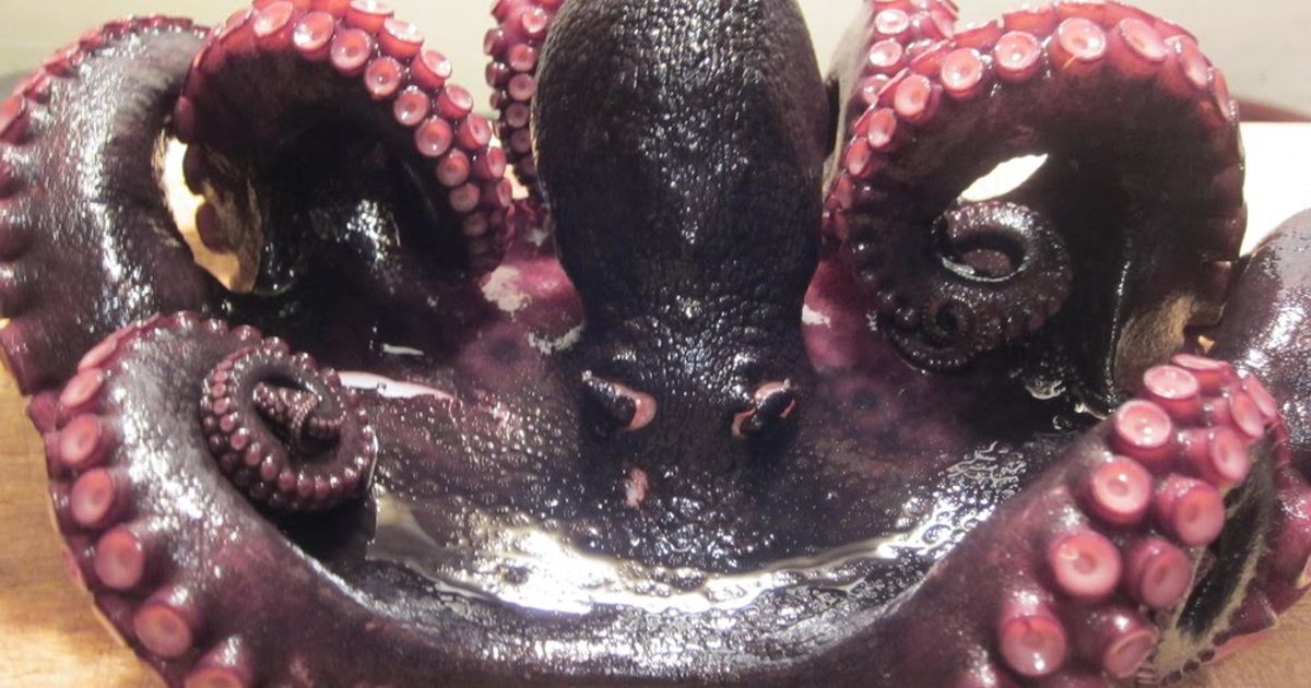 How To Boil A Whole Raw Octopus! Recipe By Cookpad.Japan