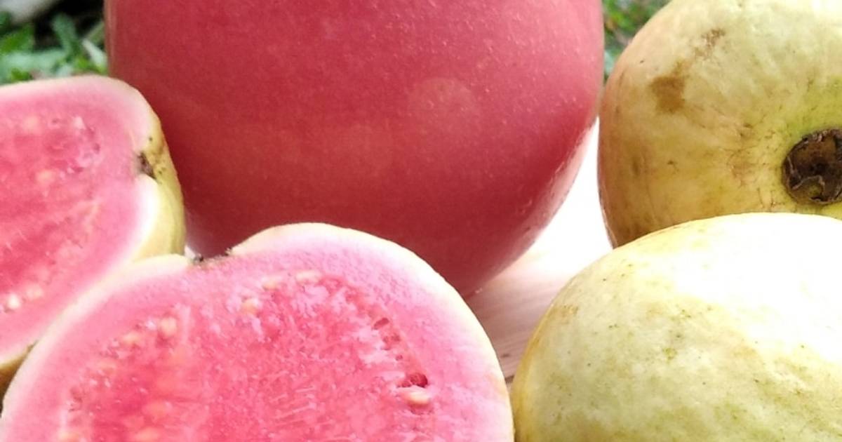 Resep Jus Jambu Merah Oleh Dapur Ummi Rafa Cookpad