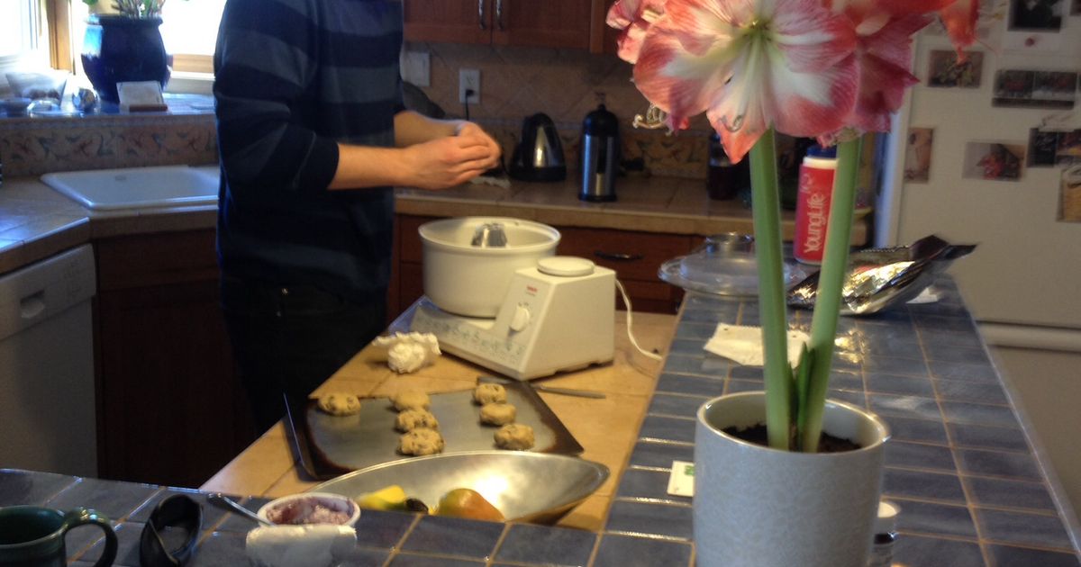Chocolate Chip Cookies Sheri Recipe By Mikeand Lee Delano