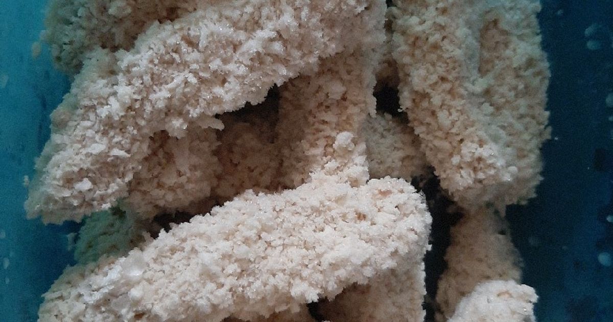 Resep daging nugget mpasi rumahan enak dan mudah - Cookpad