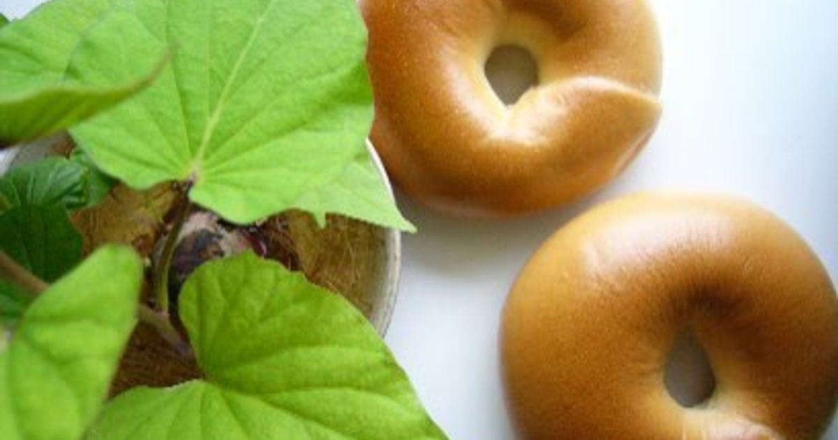 Smooth Bagels Made With Homemade Bread Starter Recipe By Cookpad.Japan