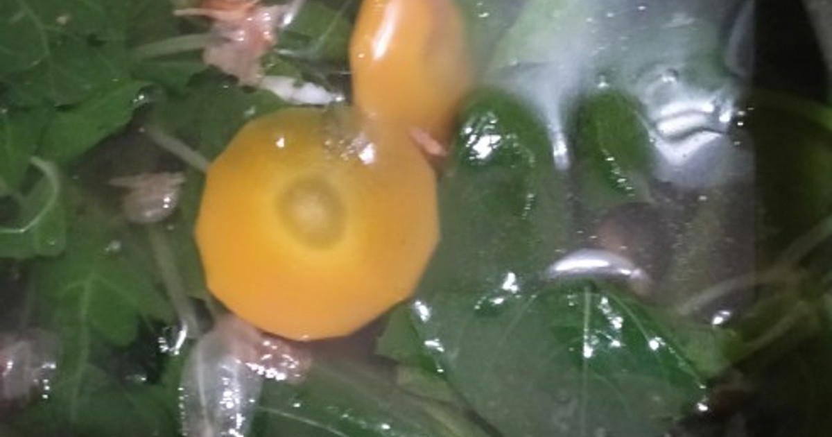 Resep Tegean/ Sayur Bening Kebumen oleh Anik Sholihah - Cookpad