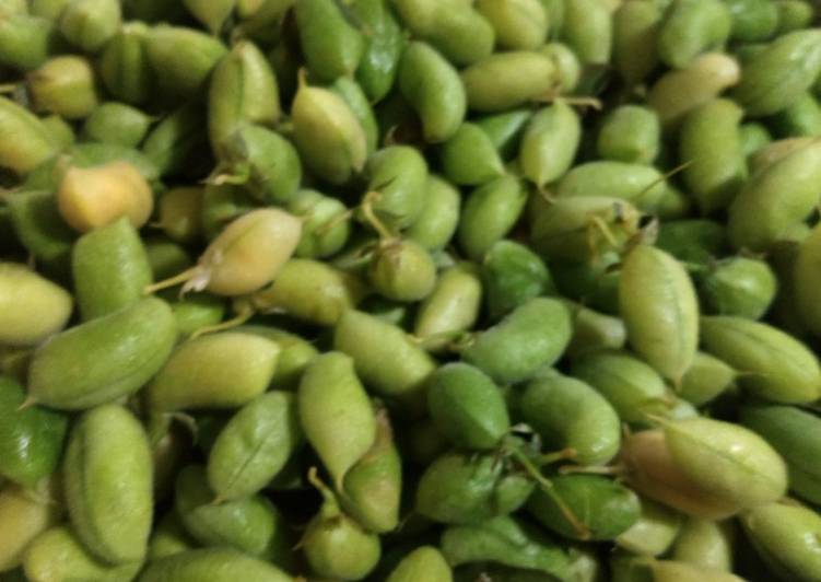 Guasanas Receta de Cynthia Serena- Cookpad