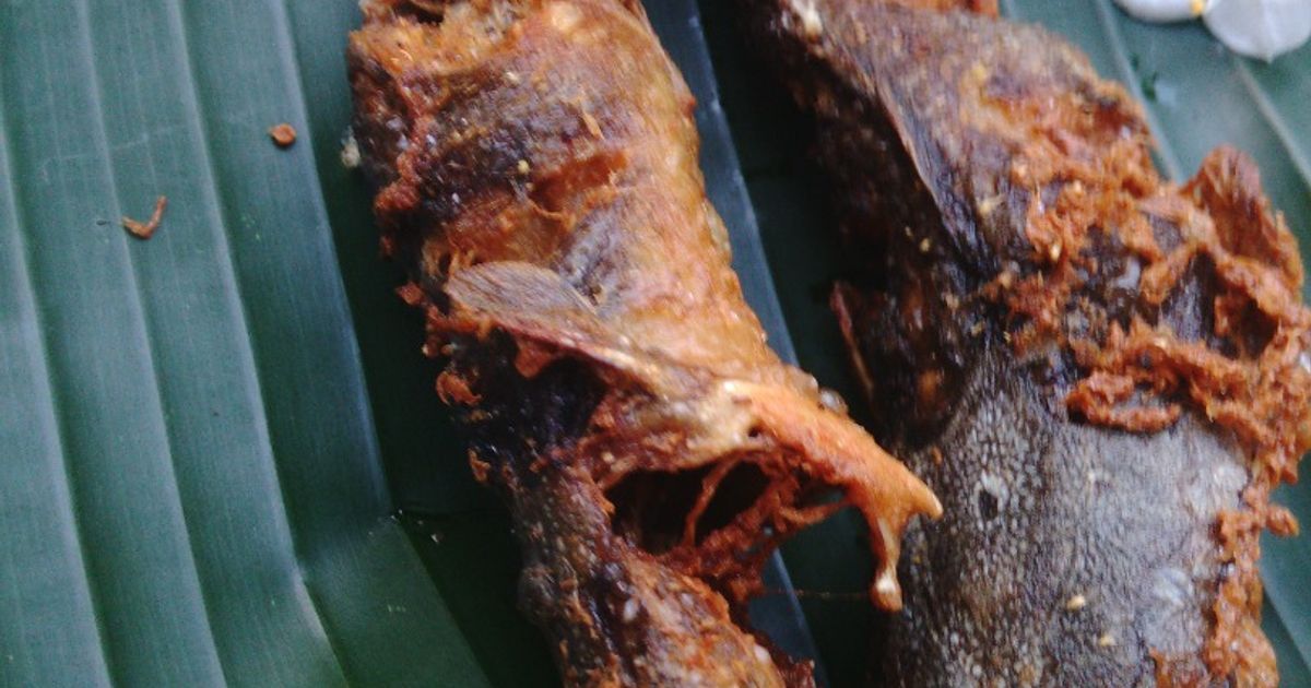 Resep Lele Goreng Telur oleh Bunda Luqman's Kitchen - Cookpad