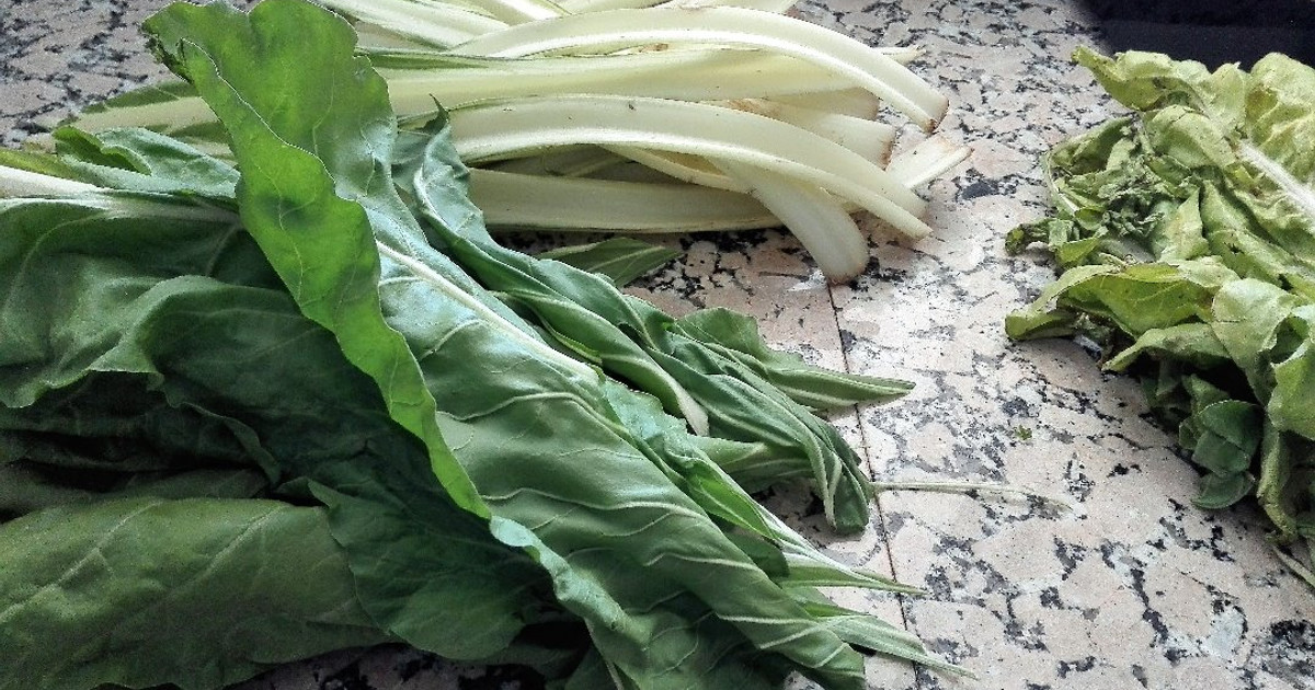 La Acelga Receta de Naty_coremi- Cookpad