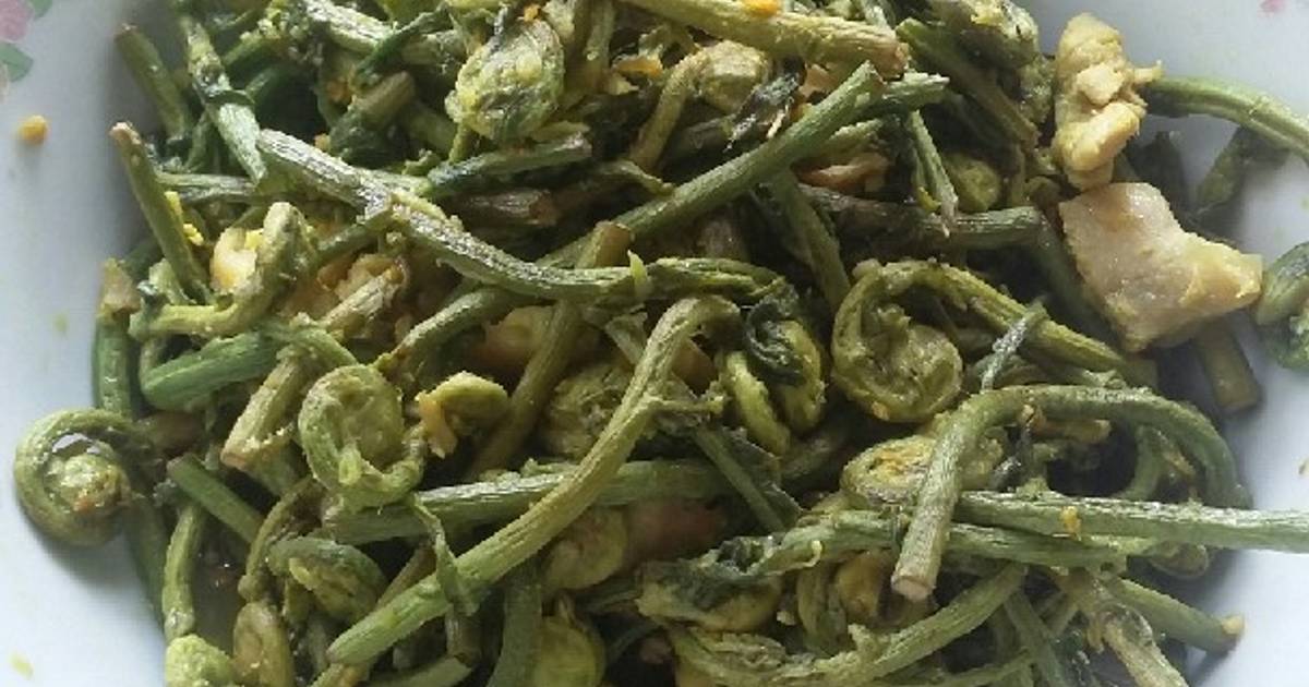 2 resep tumis pakis uban enak dan mudah - Cookpad