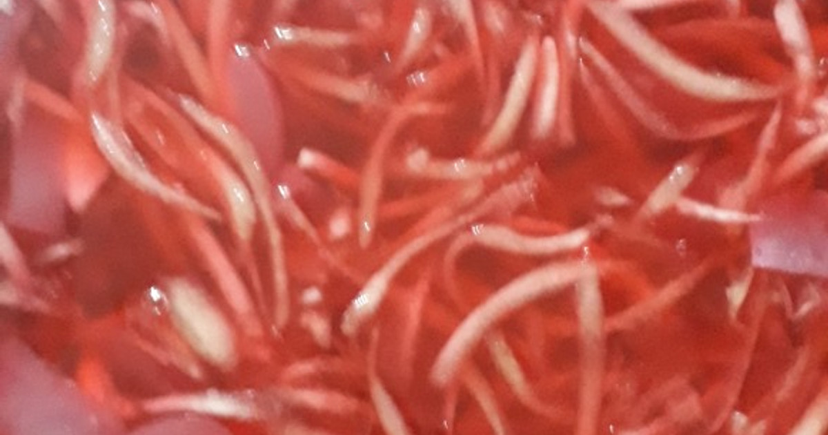 Resep Es Melon Merah Merona oleh Aisyiah Nurhidayati - Cookpad