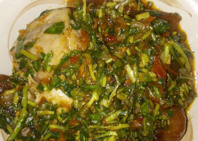 Water leaf stew Recipe by Chisdelight - Cookpad