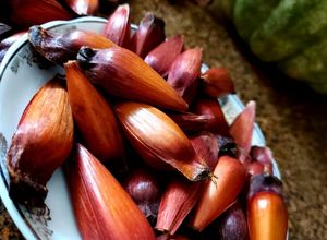 Receitas com pinhão: cozido, assado, em saladas e mais