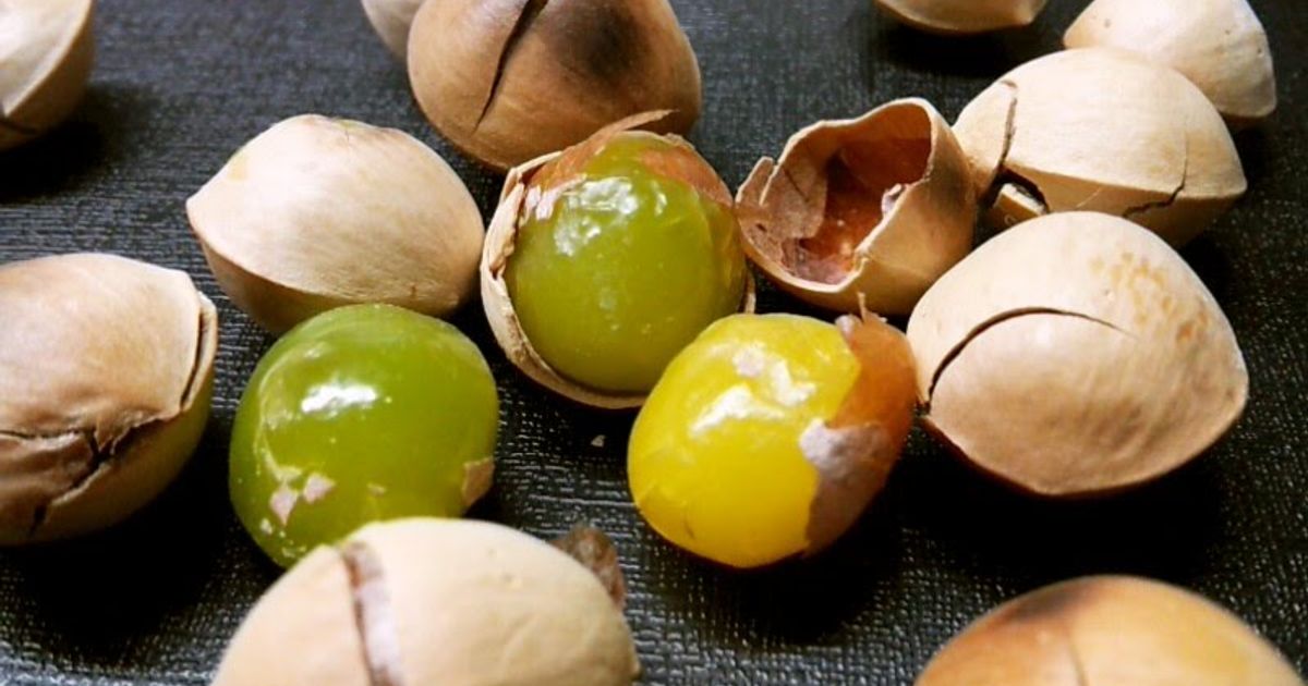 Ginkgo Nuts Ready In 10 Minutes In A Toaster Oven Recipe By Cookpad.Japan
