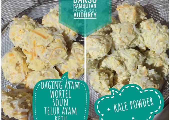 Resep Bakso Rambutan Ayam (MPASI) oleh Chrissandy Eka P - Cookpad