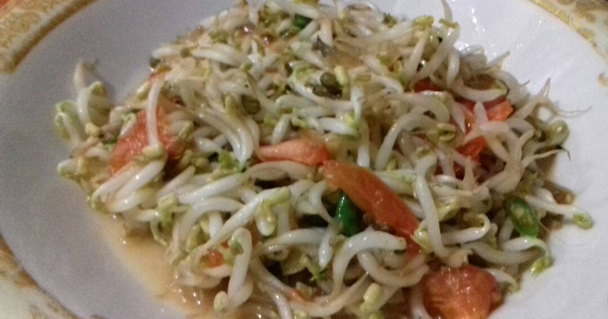 10 resep cah tauge polos enak dan mudah - Cookpad