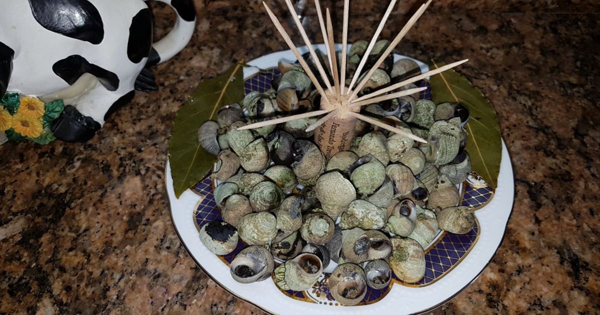 Bígaros Cocidos Para Aperitivo Receta de CAMBALACHE3- Cookpad
