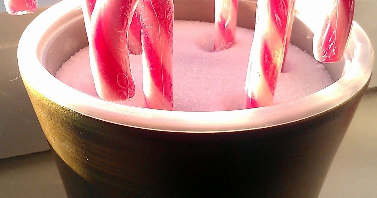 Vickys Home 'Grown' Christmas Candy Canes Recipe By Vicky@Jacks Free ...