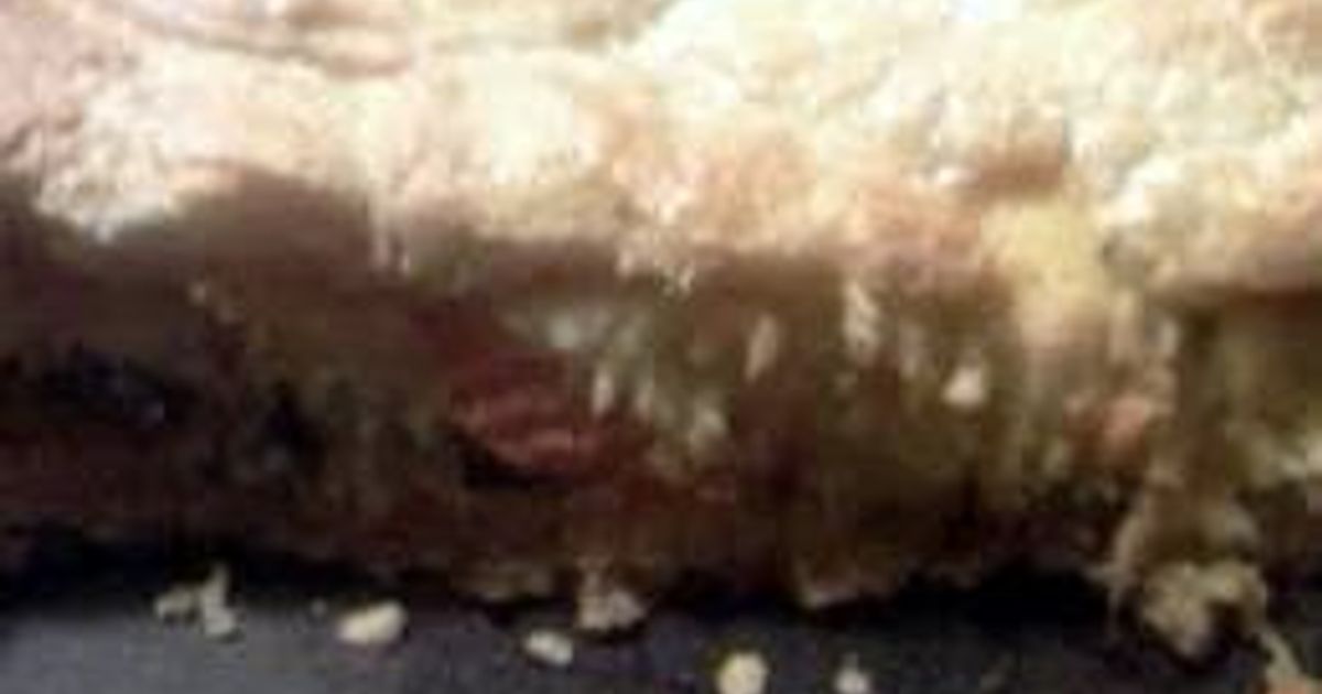 Discover delicious grands biscuit recipes you'll love