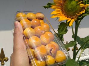 Resep Olesan nastar #SiapRamadan oleh Anabella - Cookpad