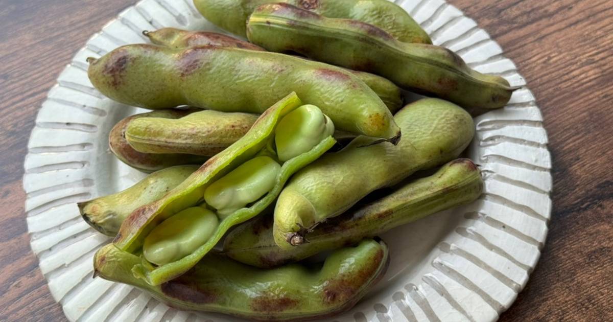 Roasted Broad Beans Recipe by Aunty Eiko's international cuisine ...