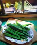 Nikmati pelbagai resepi bendi yang enak & mudah dimasak