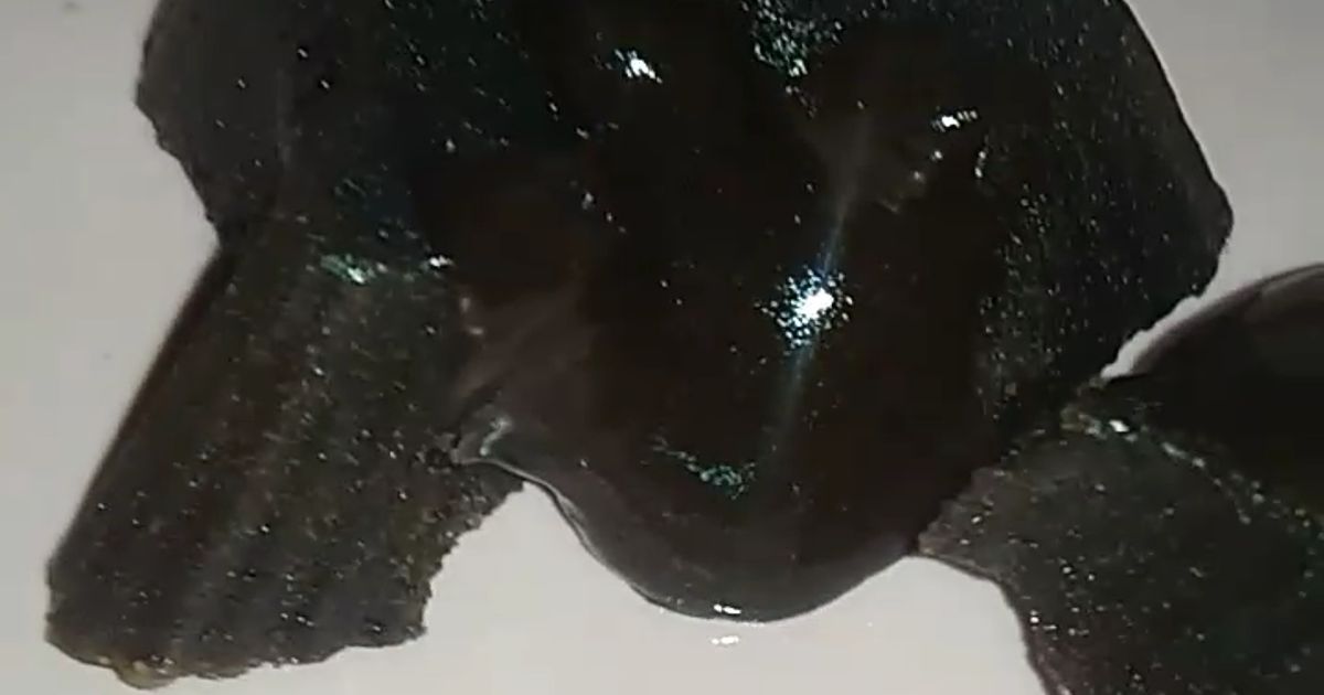 Resep Cake Lava Dari Drink Beng Beng! Manisnya Kebangetan😝 oleh Tari ...