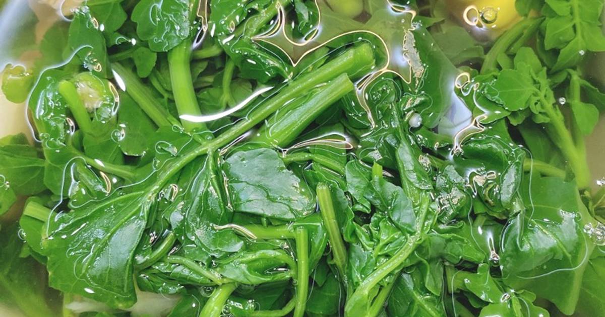 Resep Sup bening selada air Vegan oleh Yenni Gunawan - Cookpad