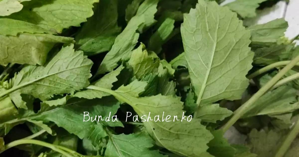 Resep Fermentasi Sawi Dayak (Ansabi) oleh Bunda Pashalenko - Cookpad