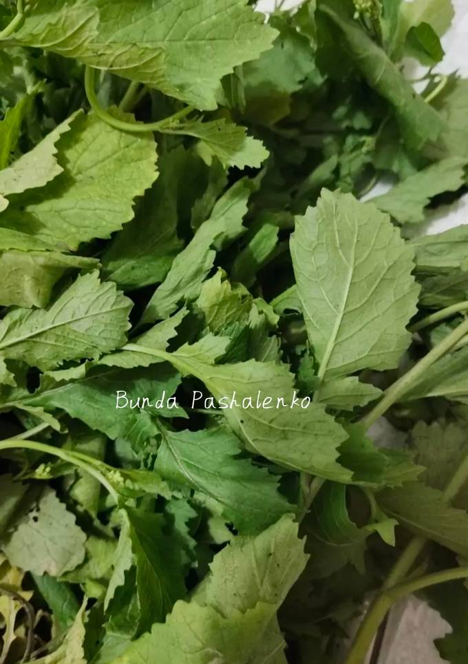 Resep Fermentasi Sawi Dayak (Ansabi) oleh Bunda Pashalenko - Cookpad