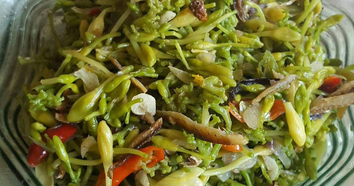 791 resep cah bunga pepaya ikan teri cabe enak dan sederhana ala ...