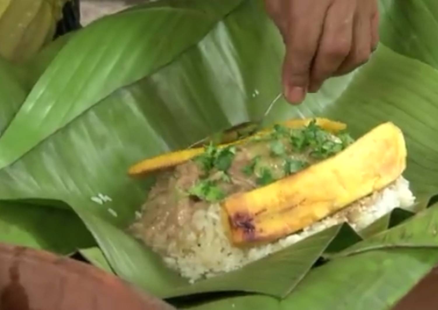 Tonga de gallina criolla Receta de Jember Heredia Heredia- Cookpad