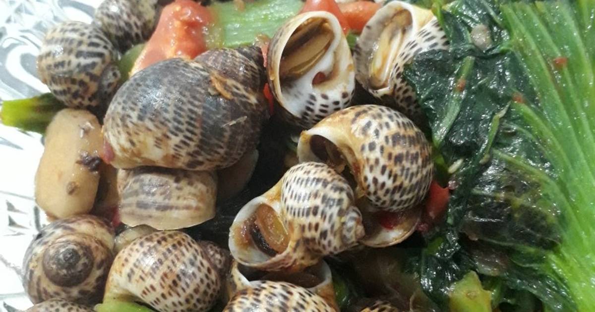 12 resep siput kerang enak dan mudah - Cookpad