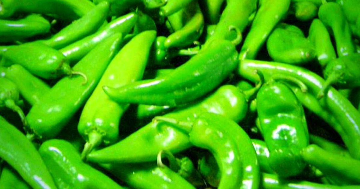 Mike's, "Roast Ur Own Chiles" + 20 Recipes Recipe By Mmobrien