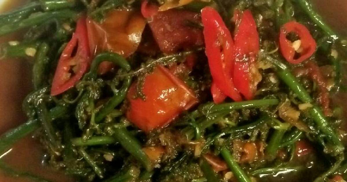 Resep Tumis pakis endess oleh Rosalia M. Putri - Cookpad