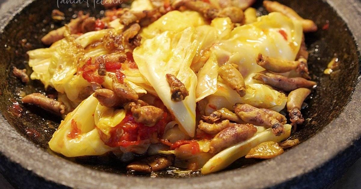 113.046 resep kubis enak dan mudah - Cookpad