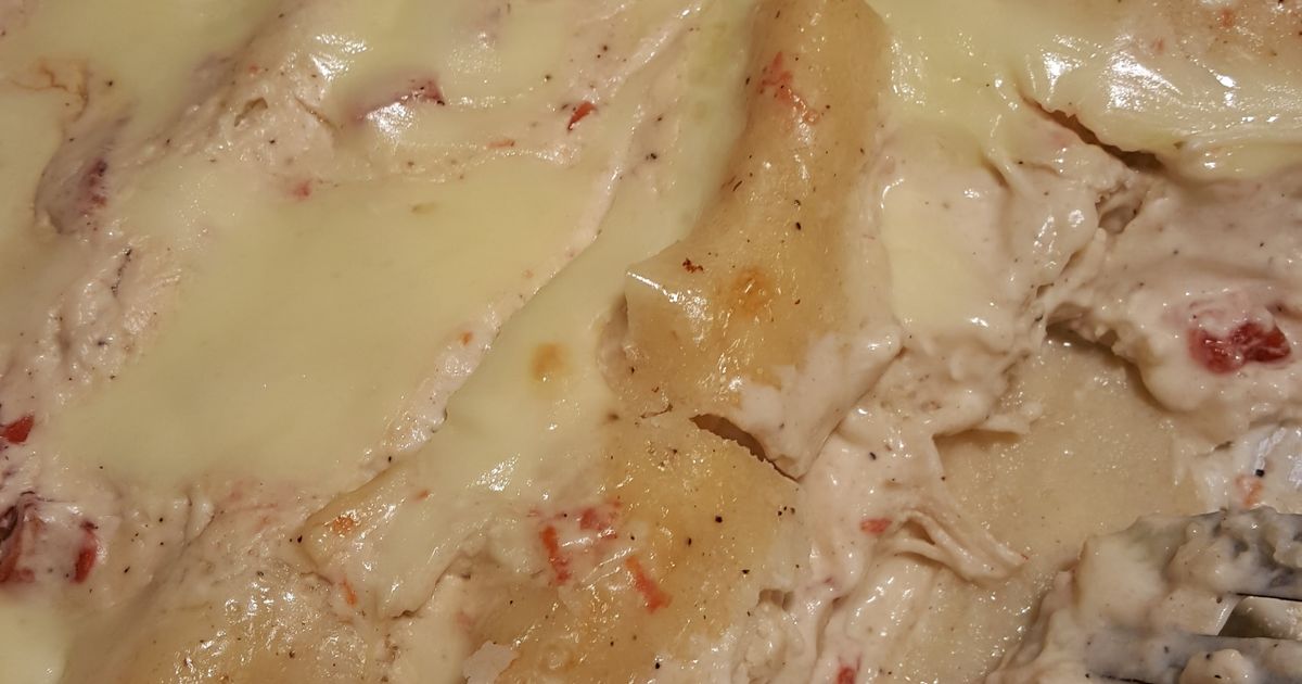 Cara's White Chicken Enchiladas Recipe By Cara