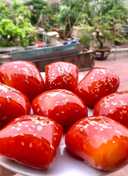 33 món bánh xu xê ngon miệng dễ làm từ các đầu bếp tại gia - Cookpad