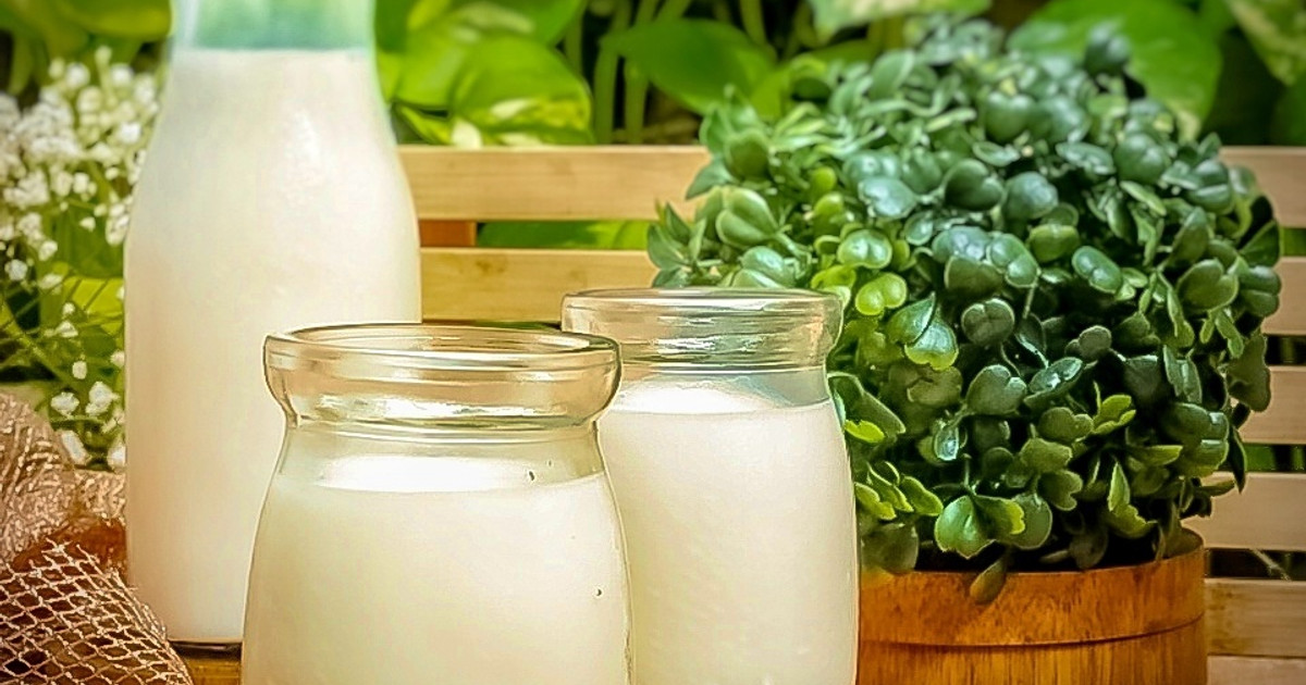 1.040 resep susu kedelai rebus enak dan mudah - Cookpad