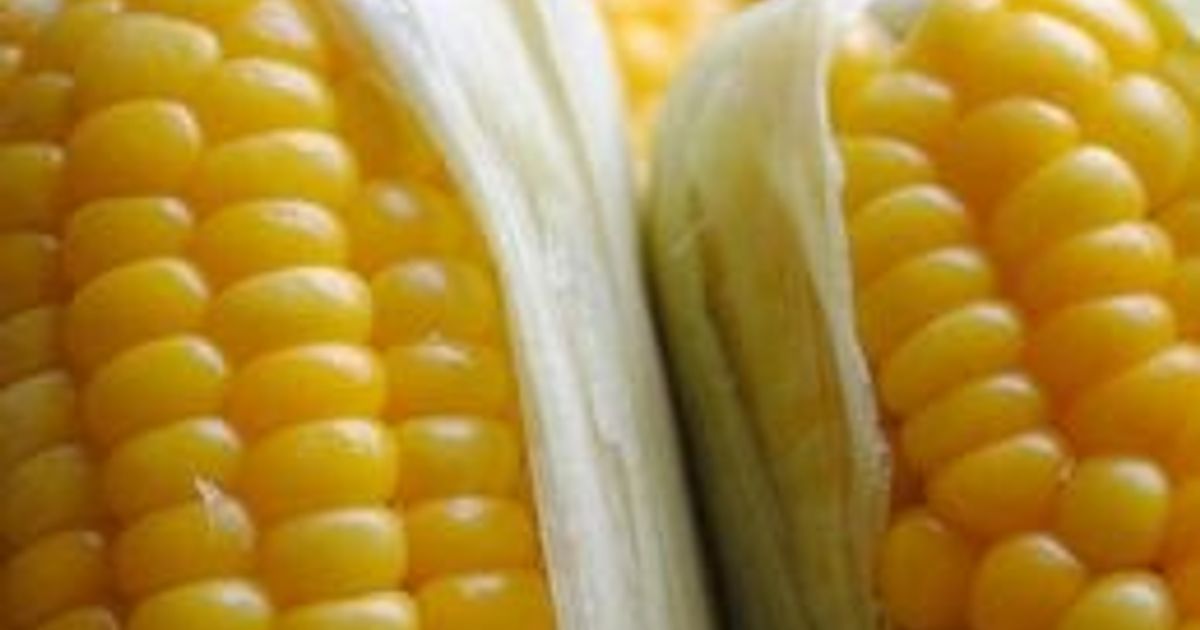 So Sweet! Steamed Corn On The Cob Recipe By Cookpad.Japan