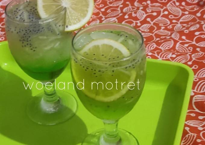 Resep Es Melon Segar oleh Moms Woeland - Cookpad