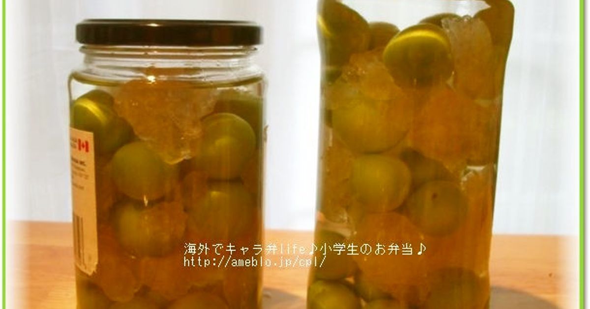 Vodka Based Umeshu Make Umeshu Abroad Recipe by cookpad.japan