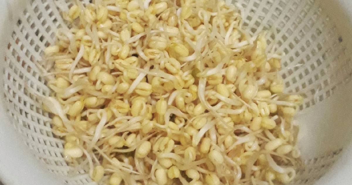 Resep Tauge Homemade oleh Mey's Cila - Cookpad