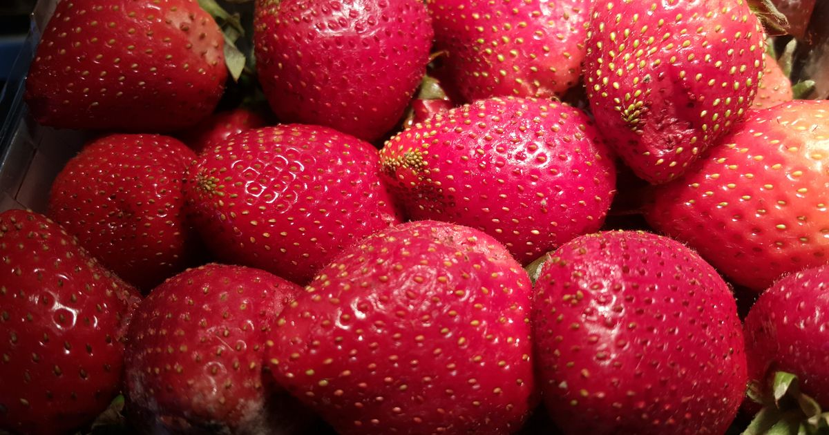 Strawberry Puree Recipe By Masterchef Billy