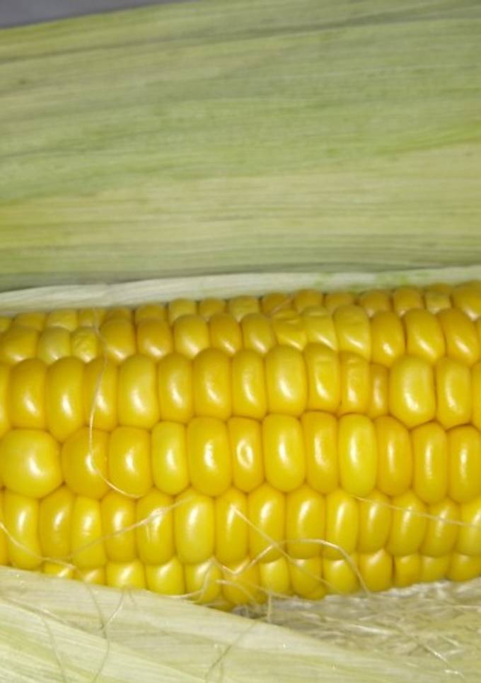 Tejes kukorica mikróban | Péter Rozália receptje - Cookpad receptek