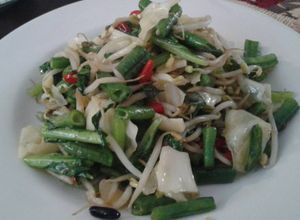 Resep tumis toge kol kacang panjang rumahan enak dan mudah - Cookpad