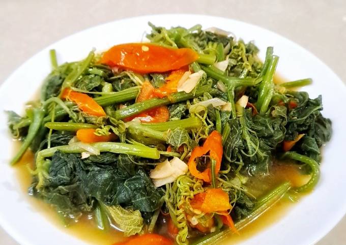 Resep Tumis Pucuk Labu Balacan Oleh Dapur Rahasya Cookpad