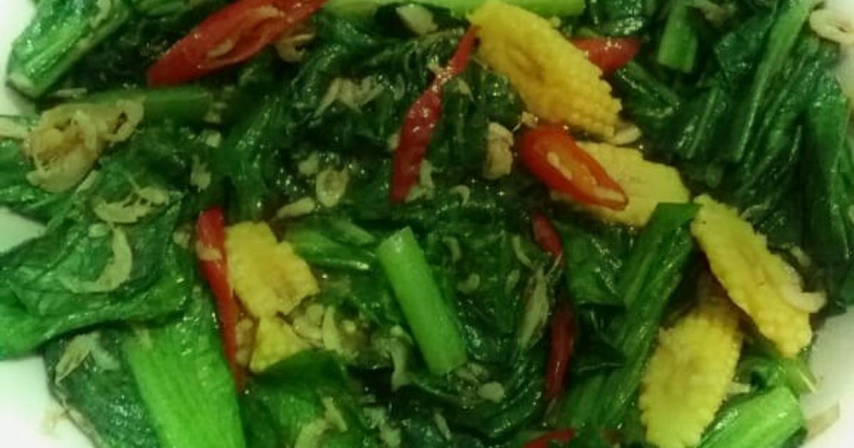 223 resep tumis putren caisin enak dan mudah - Cookpad