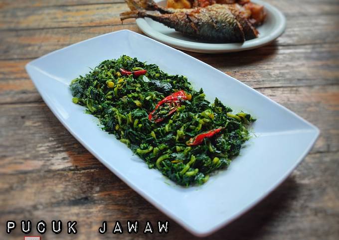 Resep Pucuk Jawaw Bekacak #GA.B ~ Week 26 oleh Novie Vie - Cookpad