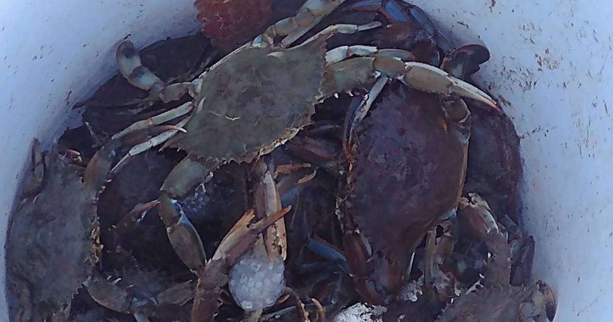 Chilpaya - 5 recetas caseras- Cookpad