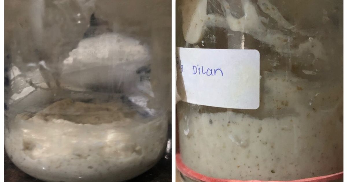 Resep Sourdough Starter/ Ragi Alami/ Wild Yeast oleh Marissa P Ristanto ...